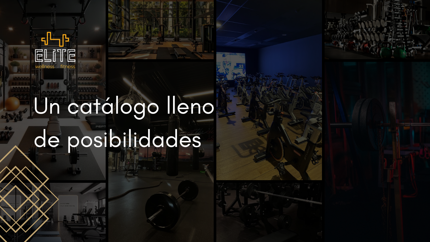 Equipos - Elite wellness